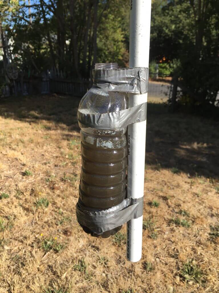 See The Results - Before and After - Septic Genie