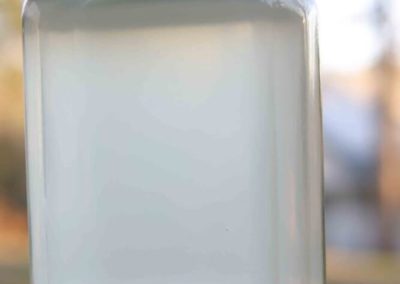 See The Results - Before and After - Septic Genie