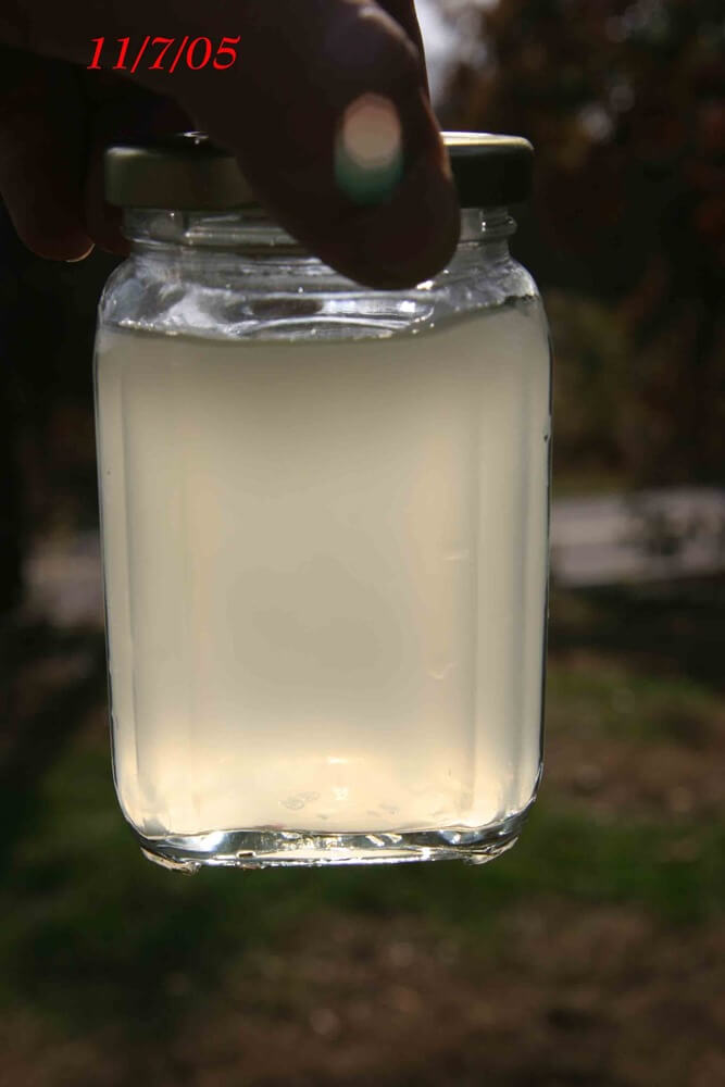 See The Results - Before and After - Septic Genie