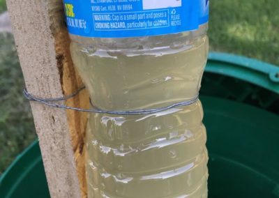 See The Results - Before and After - Septic Genie