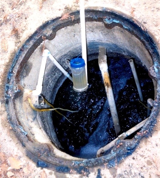 See The Results - Before and After - Septic Genie