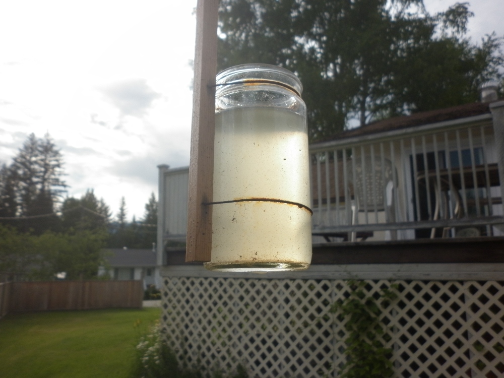 See The Results - Before and After - Septic Genie