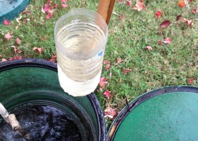 See The Results - Before and After - Septic Genie