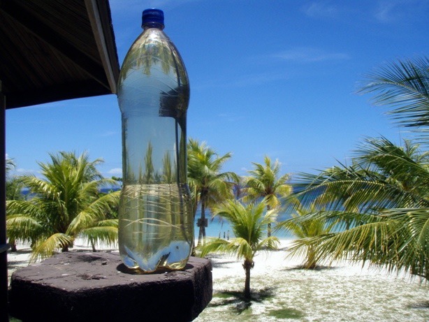 See The Results - Before and After - Septic Genie