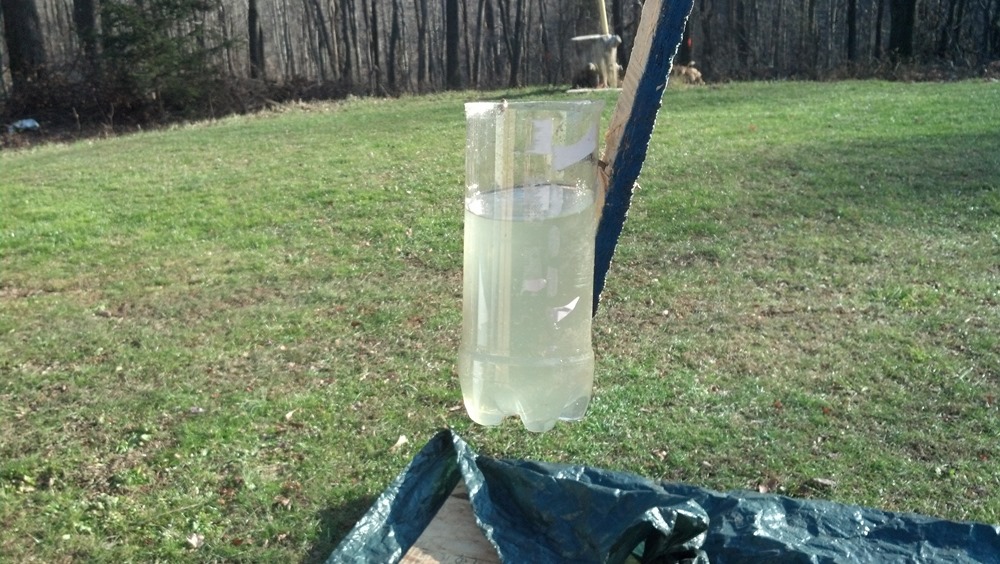 See The Results - Before and After - Septic Genie