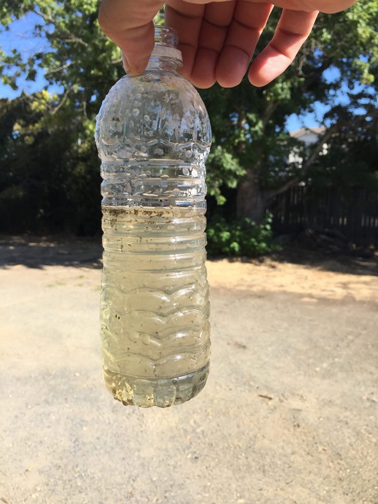 See The Results - Before and After - Septic Genie