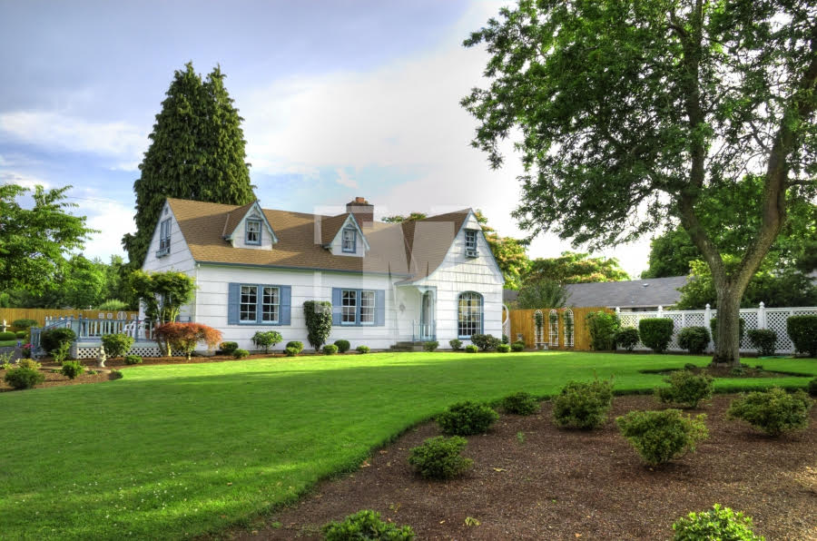 Septic Genie | Septic System Problems | Leach Field Problems